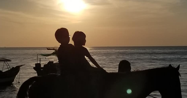 Home [trips.hoop-travel.com]