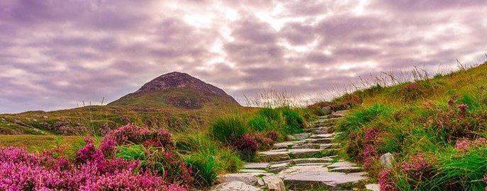 Beth & Family's Ireland Vacation