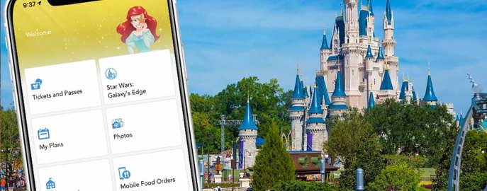 Navigating the Disney App