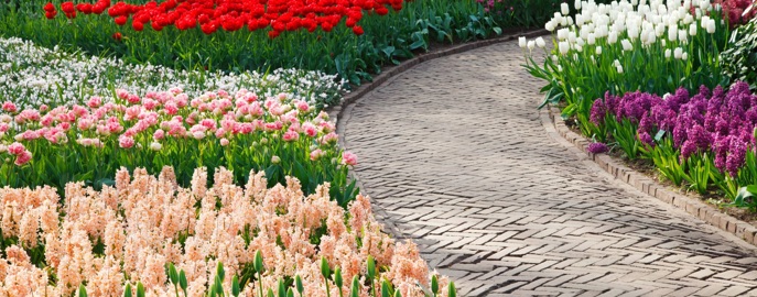 A Dutch Dream - Spring in the Gardens, Amsterdam, Gouda and Delft 2024