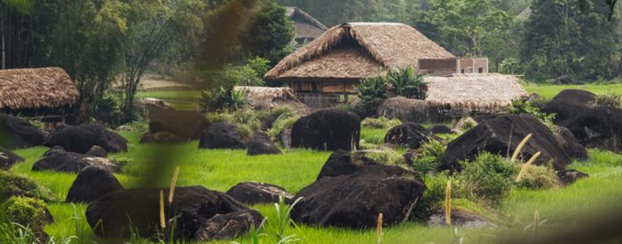 4D3N Ha Giang easy rider Loops