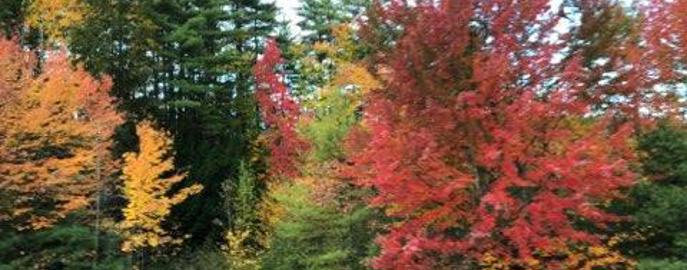 Classic Fall Foliage, 9-Day Tour, offered mid Sept - early Oct 2024