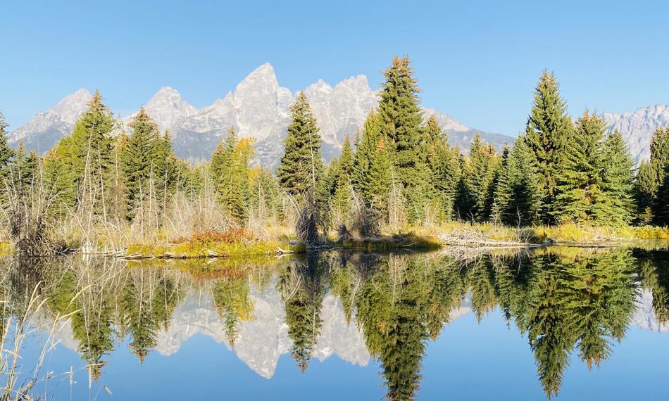 Kelly Smith, Travel Advisor | Wanderful Travel Awaits