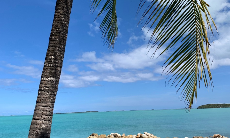 Bridget Clay , Owner, Adventures by Bridget, LLC | Adventures by Bridget