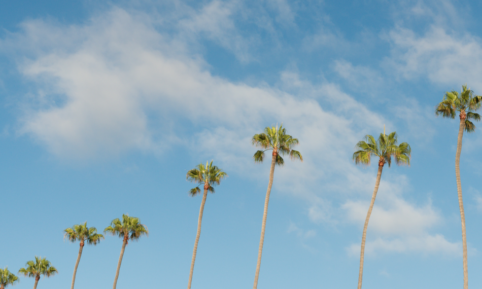 Doris Goodson, Summit Coordinator | San Diego Events Company