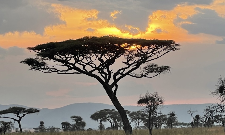 Kelly Rivers, Travel Advisor | Rise Lux Travel