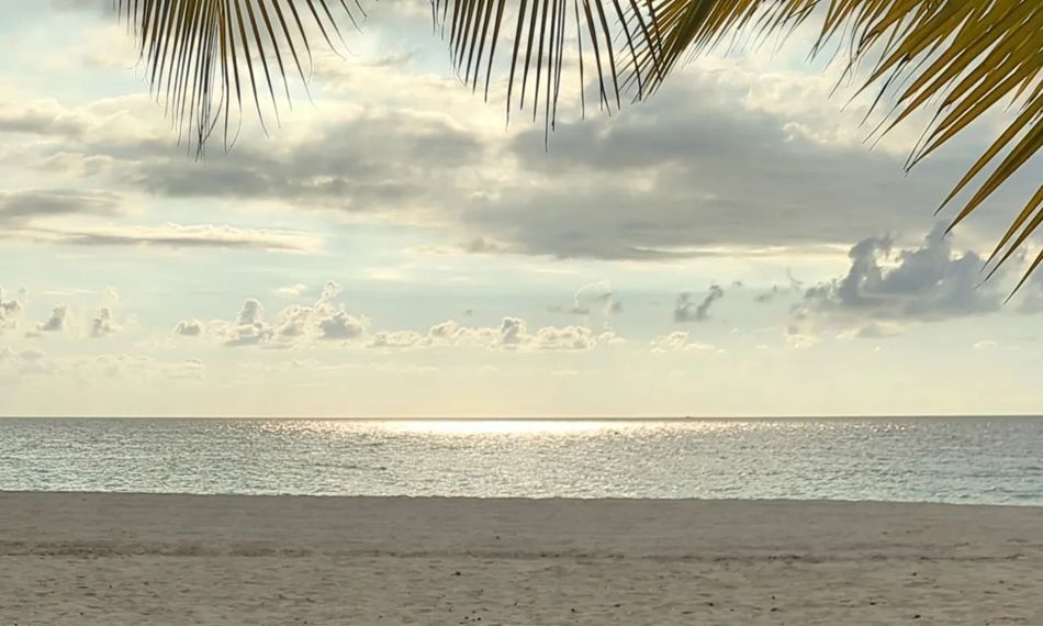 Rachel Busch Jones, Travel Consultant | Island Travel Group