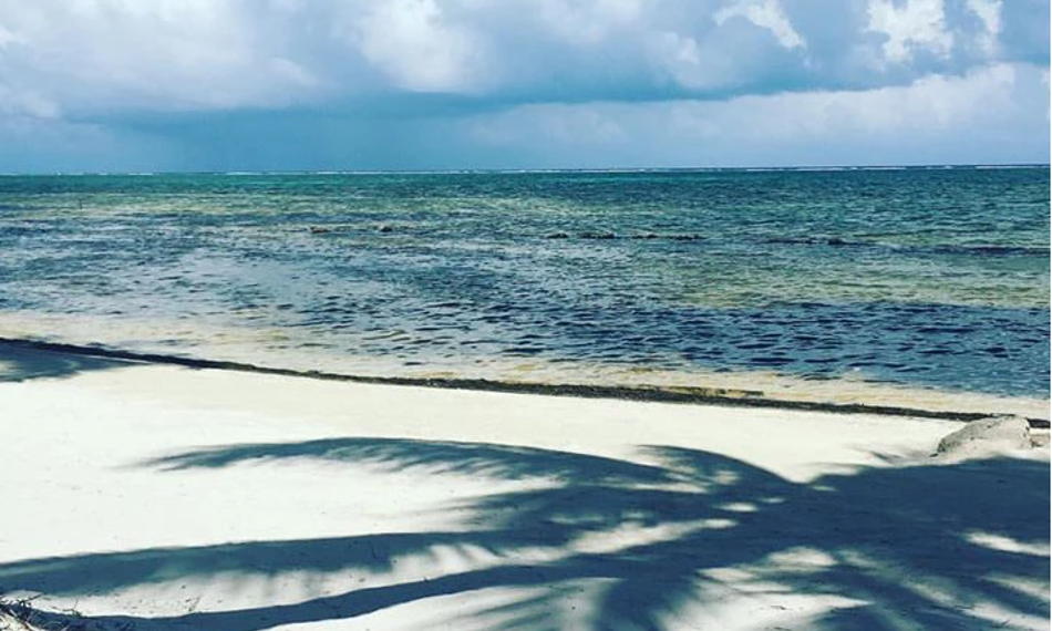 Stephanie Gerhardt, CTA, Travel Advisor | INDIA ELAINE TRAVEL