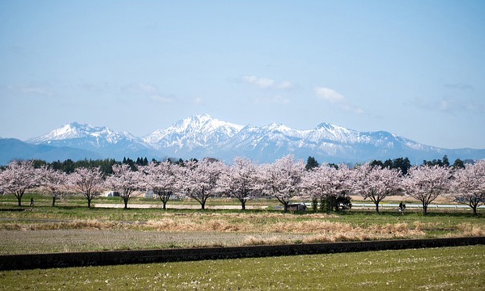 Yeng Lor, Travel Experience Desginer | Yeng.travel